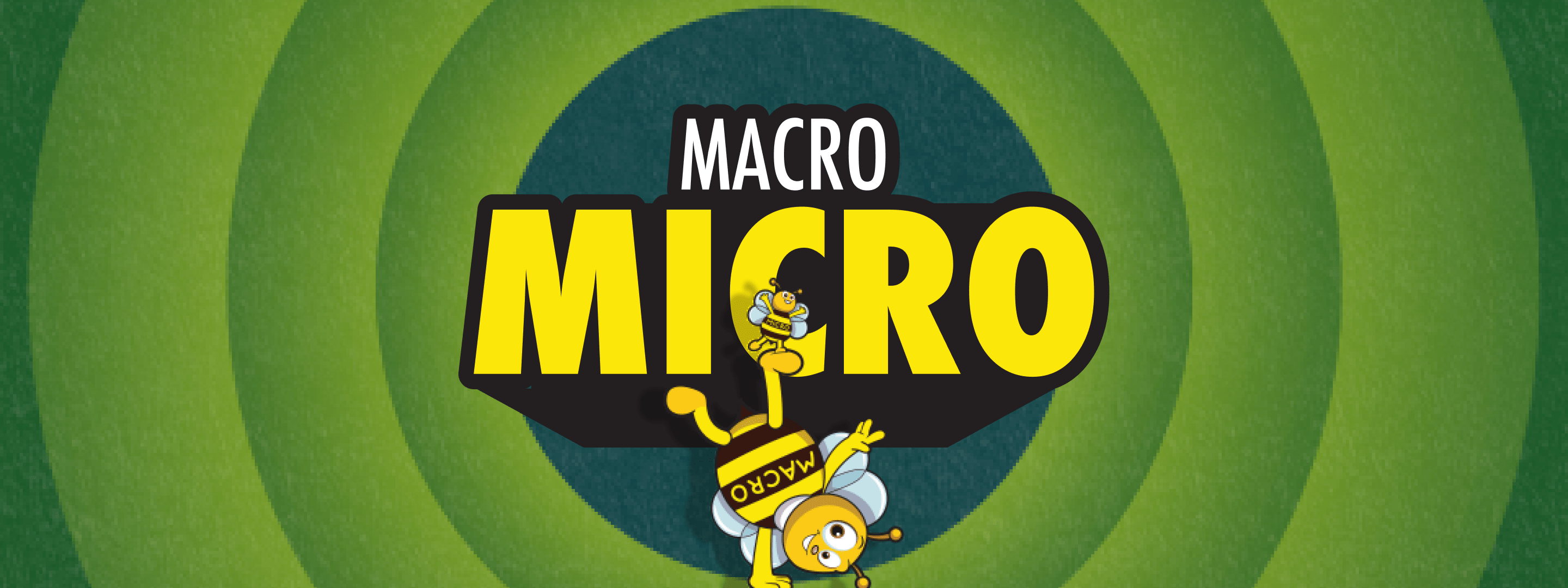 Macro Micro | VeeFriends.com